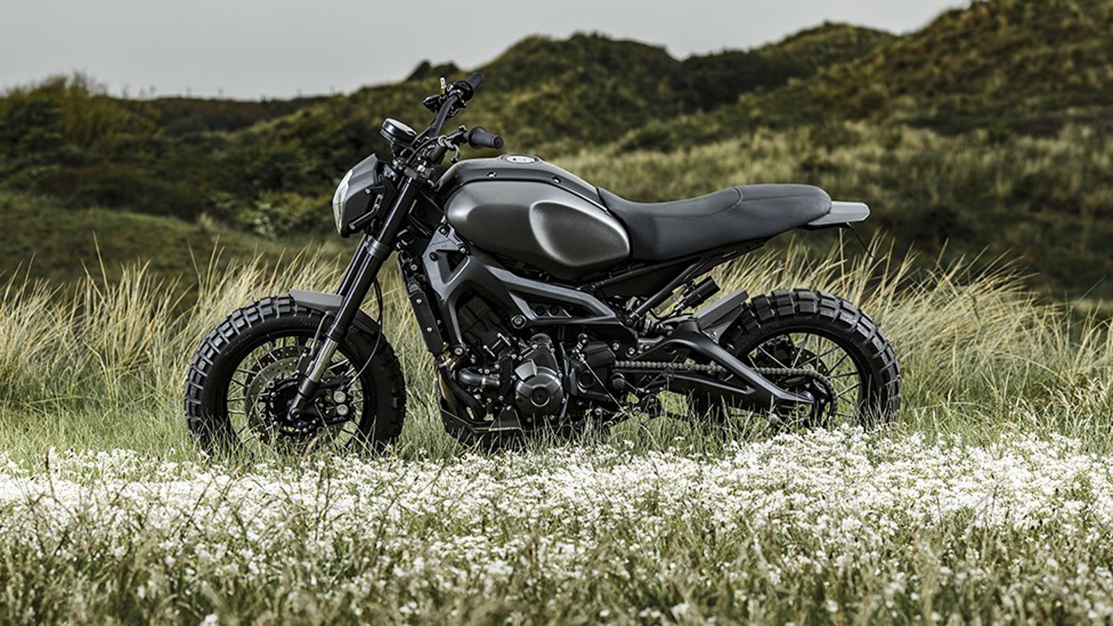 Yamaha XSR900 Yard Build - yamaha, yamaha xsr 900