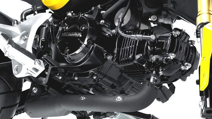 Msx125 | Adventure Rider