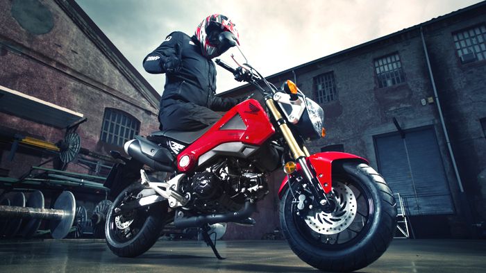 Honda MSX 125! - honda msx